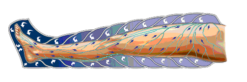 Limfodrenažinis masažas (presoterapija) - REVÙ CLINIC